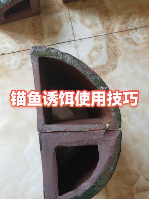 一天中锚鱼最佳时间图标
