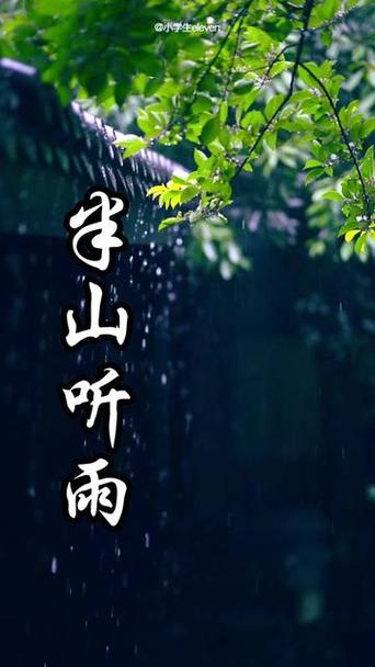 半山听雨无损下载图标