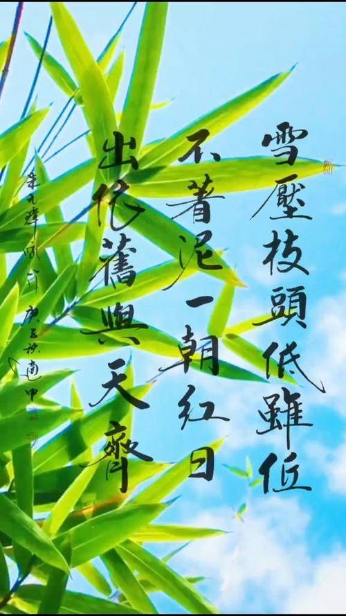 咏竹最好的一首诗图标