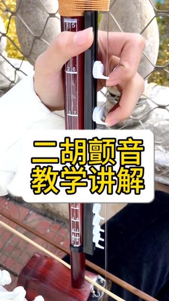 免费二胡教学视频全集图标