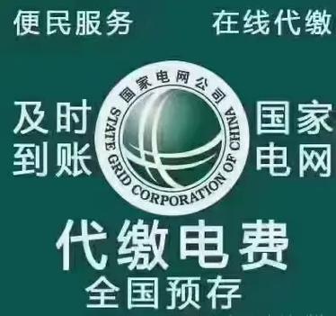 国家国网交电费图标