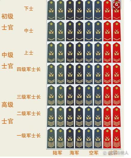 5杠4星是什么军衔图标