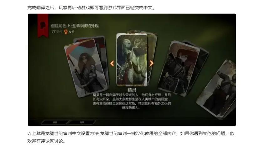 龙腾世纪2中文设置截图