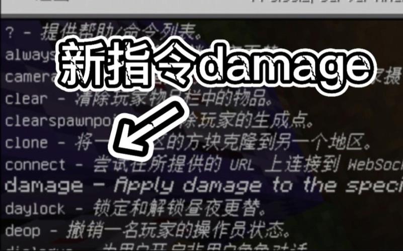 我的世界damage的注意事项截图