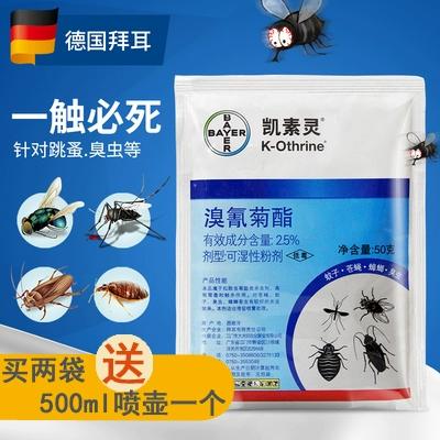杀臭屁虫用什么药图标