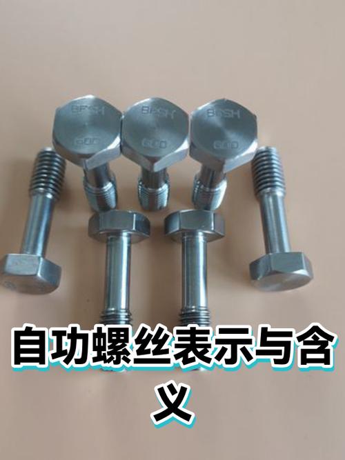 自功螺丝图标