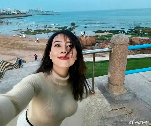 高圆圆图标