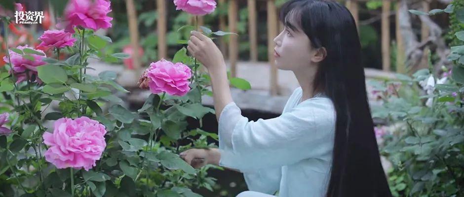 时代周报寻找李子柒图标