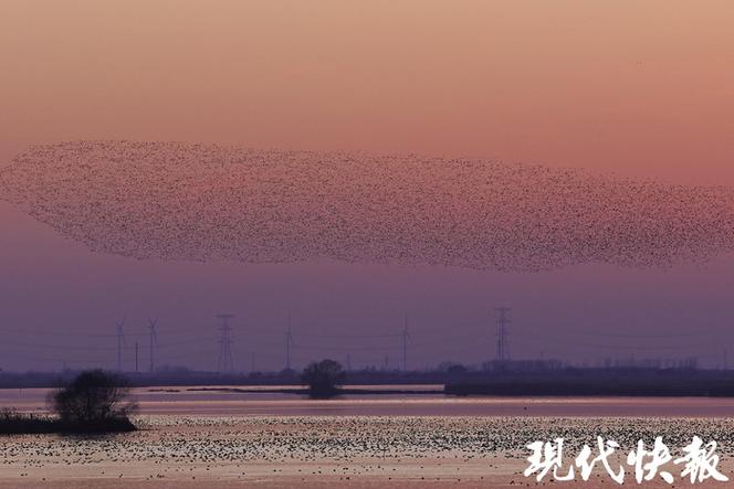 b612拍照照片总是横着的图标