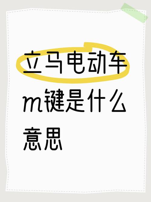 立马电动车P/M按键是什么意思图标