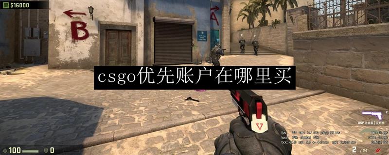 csgo优先账户在哪里买截图