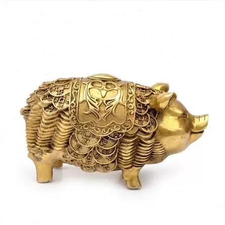 金猪代表什么生肖截图