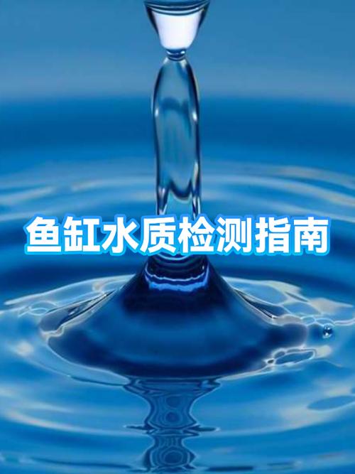 鱼缸水变浑浊怎么弄清图标