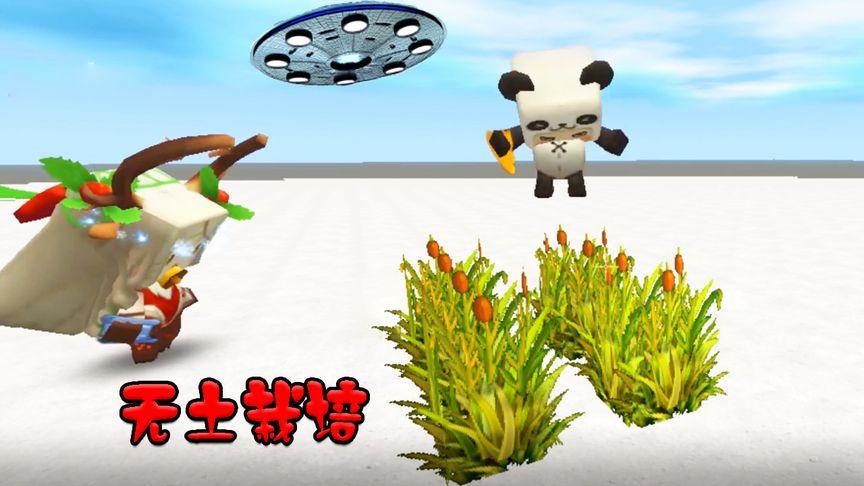 迷你世界新版没有小麦截图