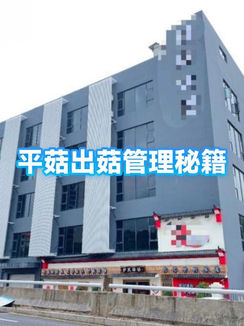 平菇出菇后怎么管理截图