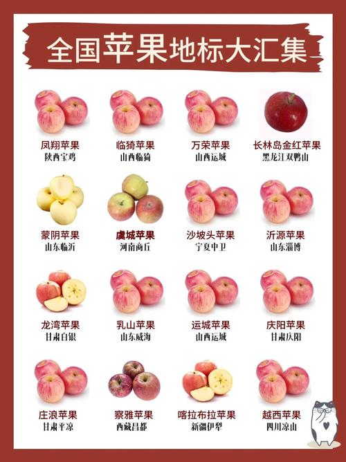 iphone哪里产地最好图标