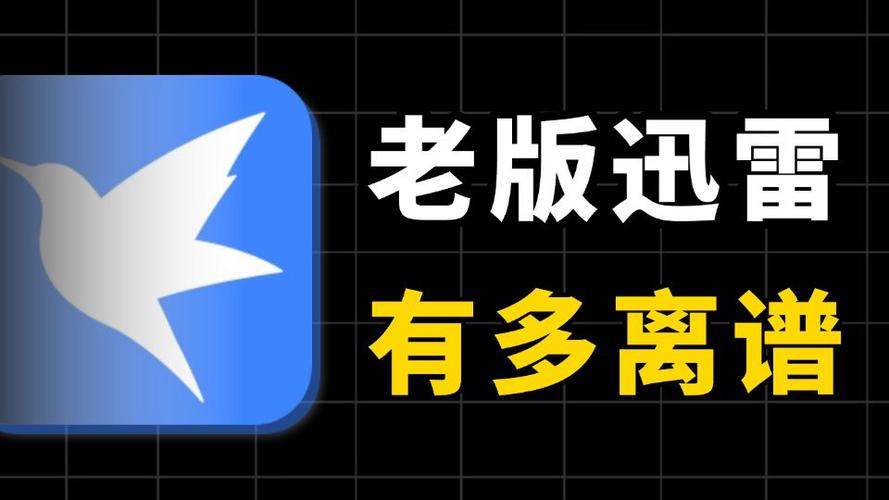 迅雷不限速版使用方法图标