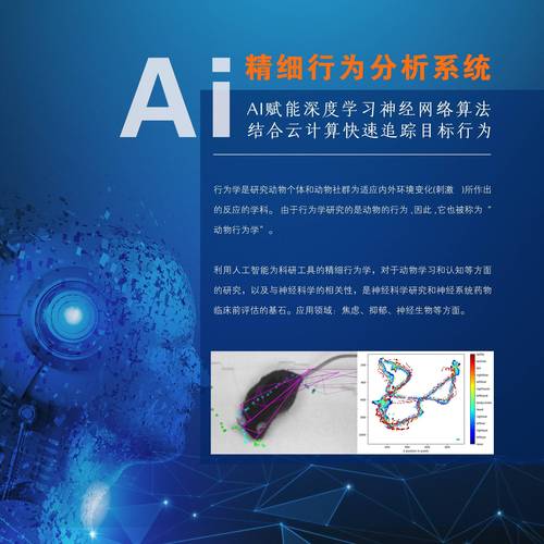 ai分析软件截图