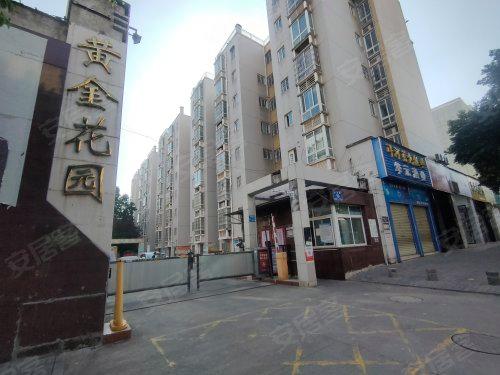 正版的黄金花园图标