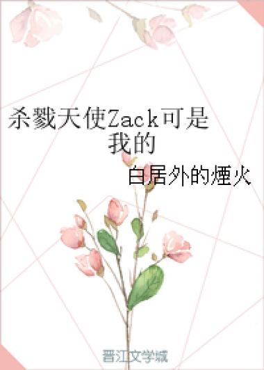 杀戮天使汉化小说