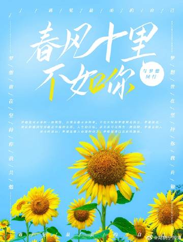 手机换了屏显示颜色淡了图标