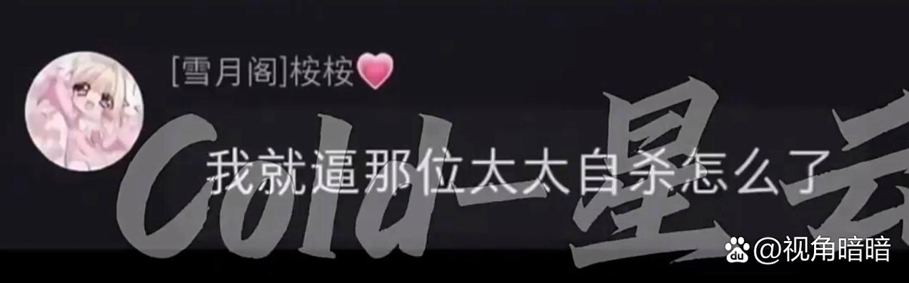 清如太太和雪月阁截图
