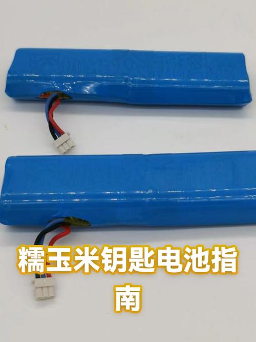 糯玉米车钥匙拆卸视频图标