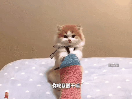我奶凶我是攻免费阅读