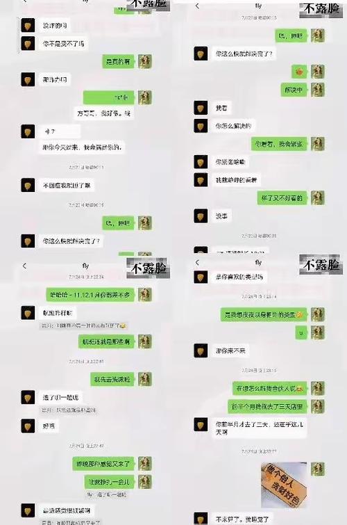 海口思月聊天记录pdf