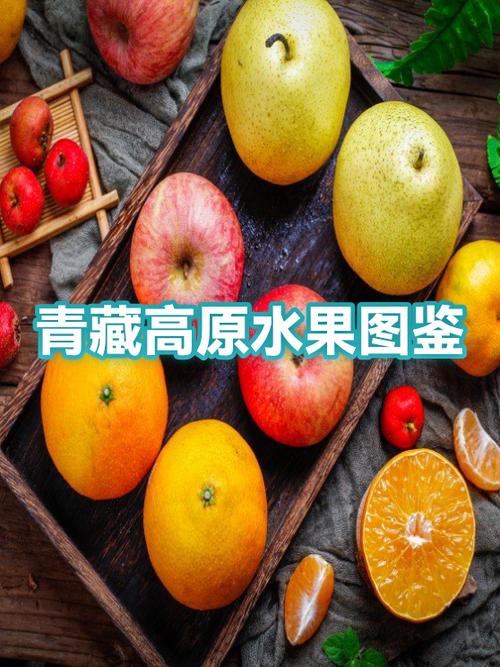 苹果有没有紫外线功能截图