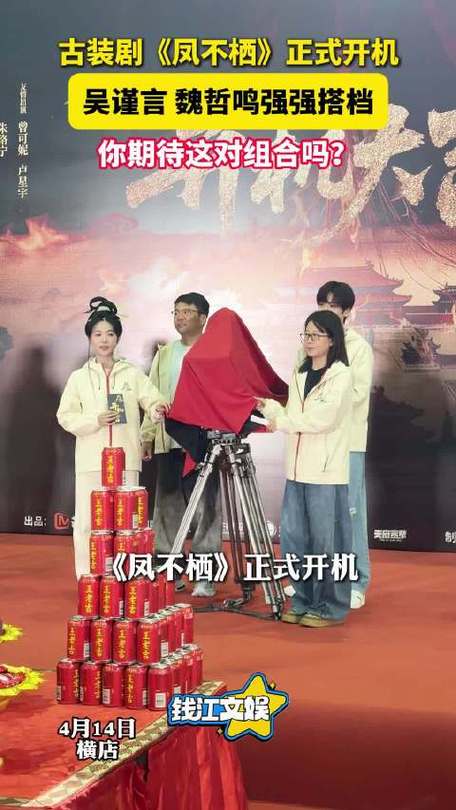 吴谨言魏哲鸣《凤不栖》开机图标