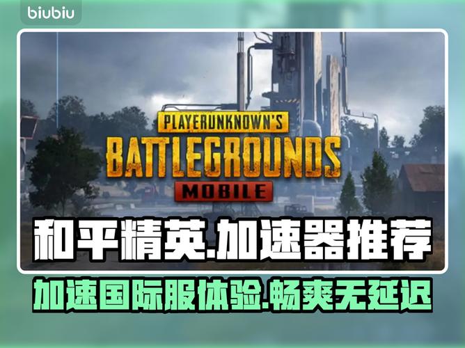 和平精英国际服加速截图