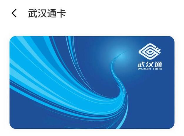 武汉通app官方介绍图标