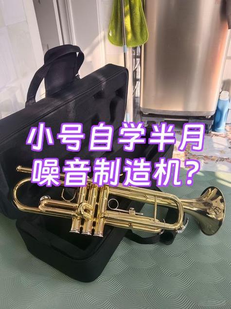 自学小号难不难图标