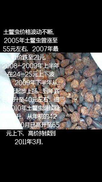 2025土元价格表图标