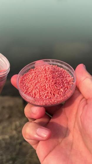冰钓鲫鱼用什么打窝最好图标