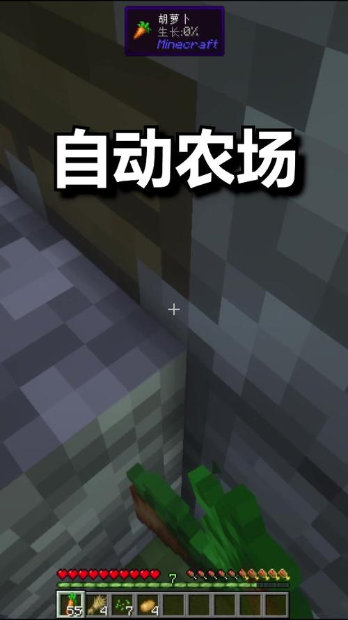 我的世界梯田自动农场教程截图