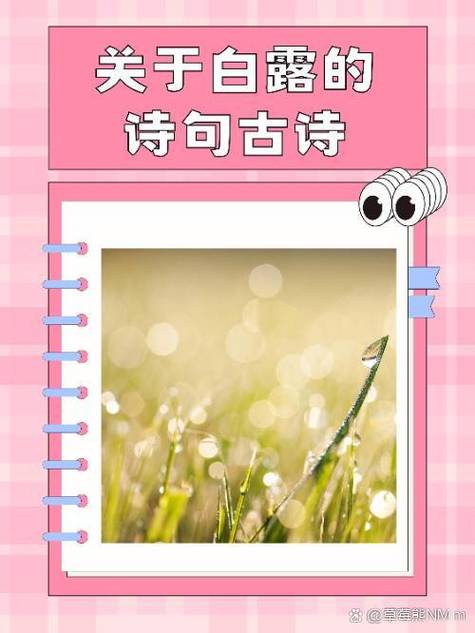 古诗大全6句诗图标