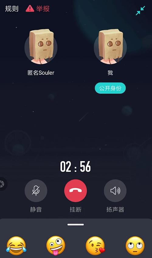 soul连麦开静音会提示对方吗图标