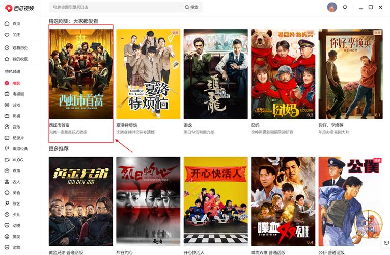 西瓜影视去广告图标