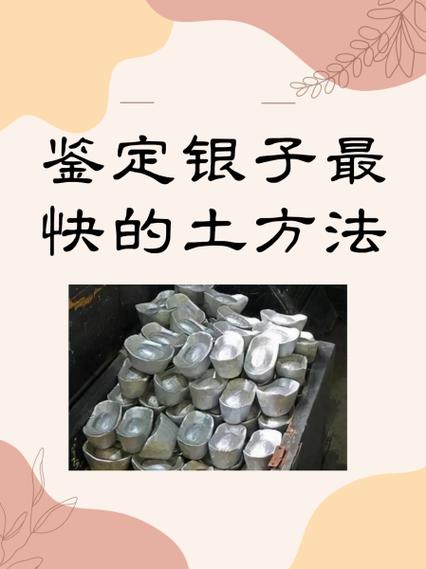 鉴定银子最快的土方法图标