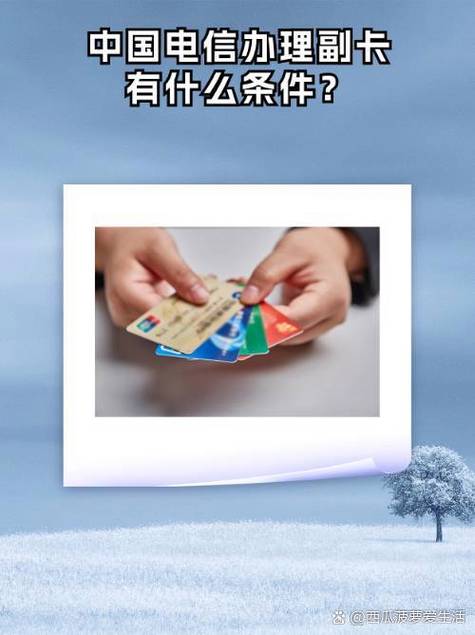 办理副卡需要什么条件图标