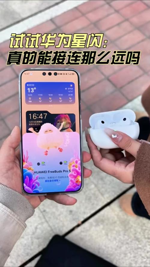 华为mate80开发者选项图标
