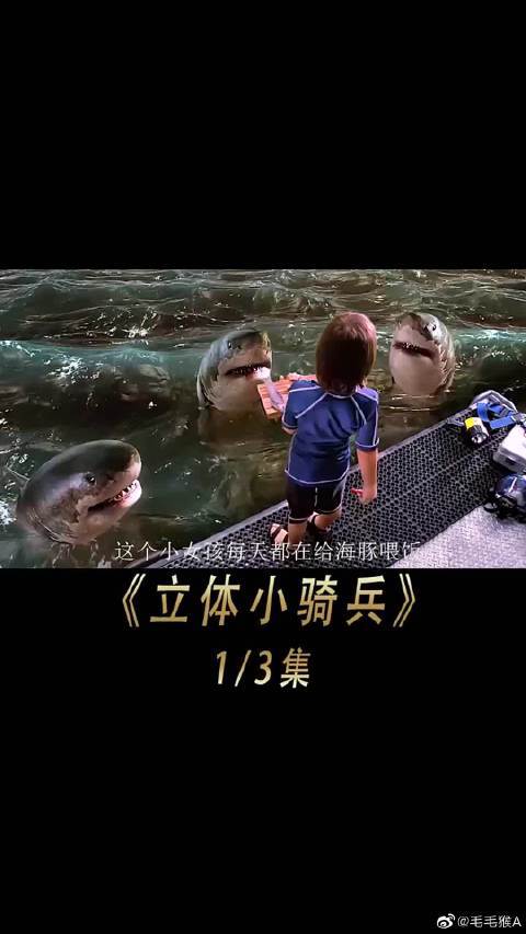 一个小男孩控制鲨鱼电影