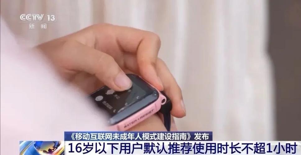 成年当天能不能上网截图