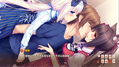 nekopara4补丁图标