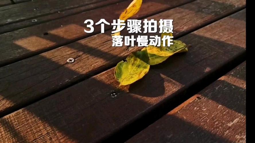 如何拍慢动作视频图标