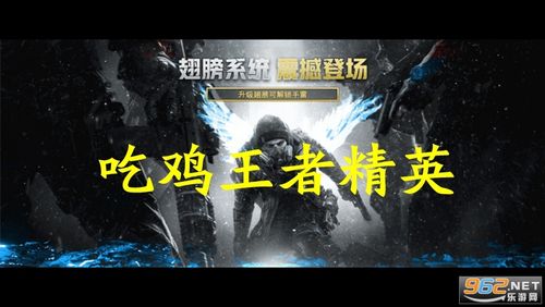 吃鸡王者精英下图标