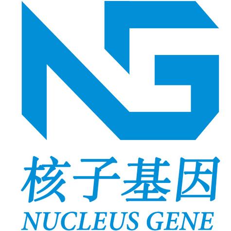 核子科技有限公司图标