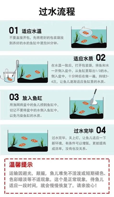 鱼刚买回来怎么入缸图标